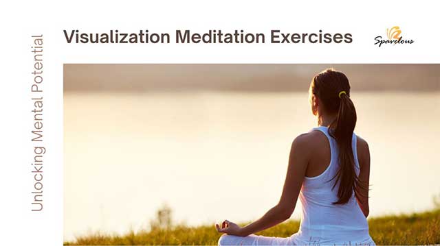 Mind Over Matter: Visualization Meditation Exercises For Physical And ...