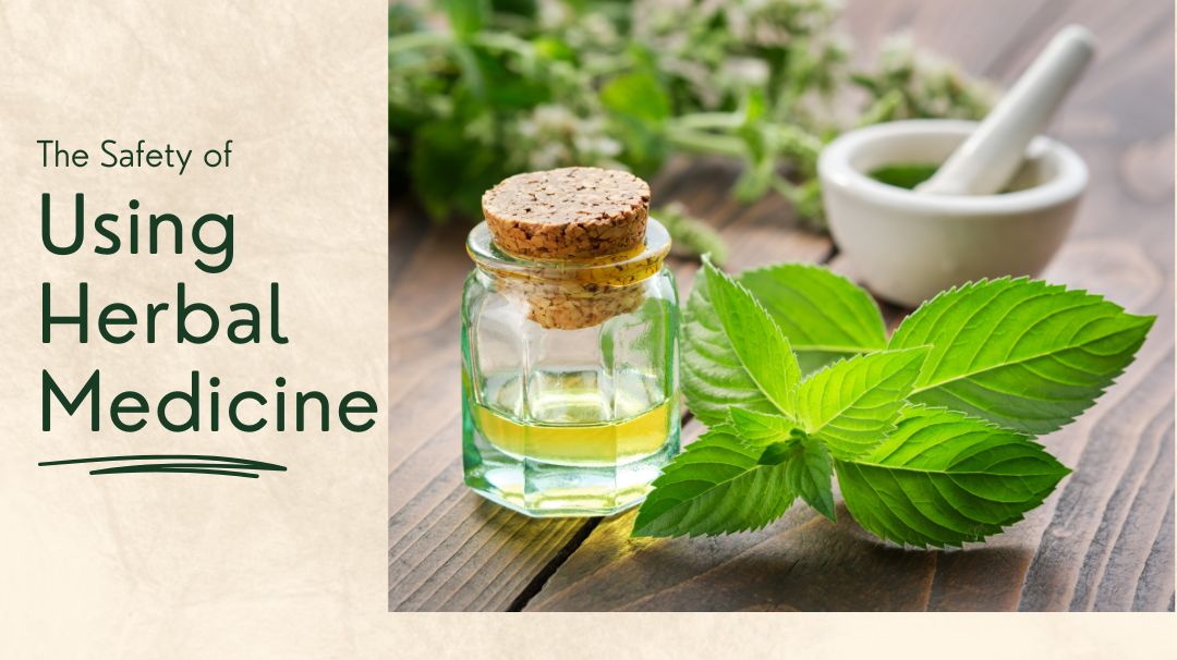 Ensuring The Safety Of Using Herbal Medicine: A Guide To Herbal ...