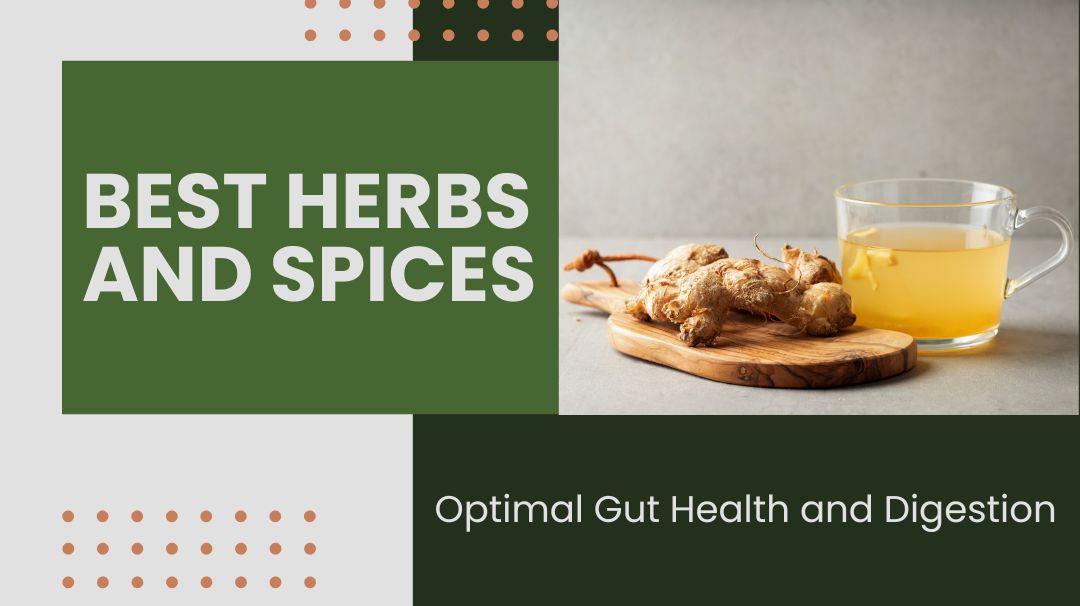 Gut Health And Digestion: Top 9 Herbs And Spices