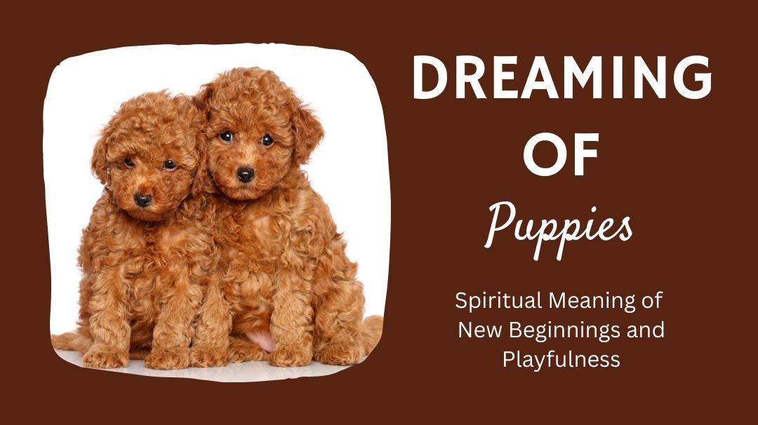 Dreaming Of Puppies: Spiritual Meaning Of New Beginnings And ...